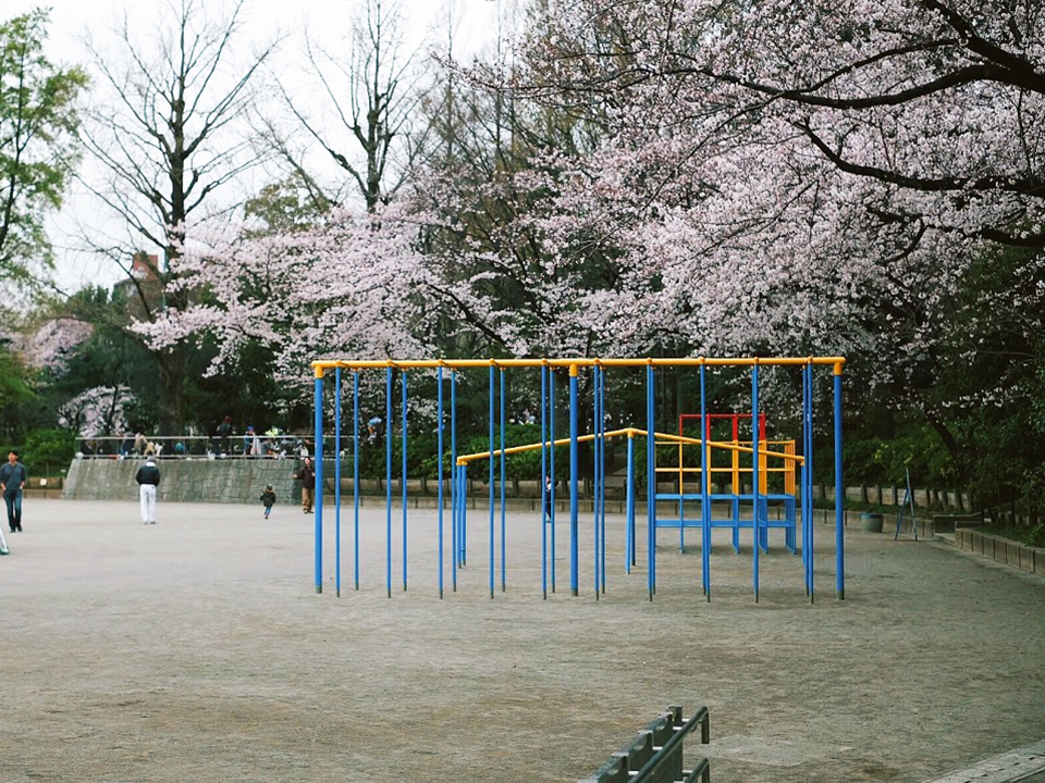 experience SUGINAMI