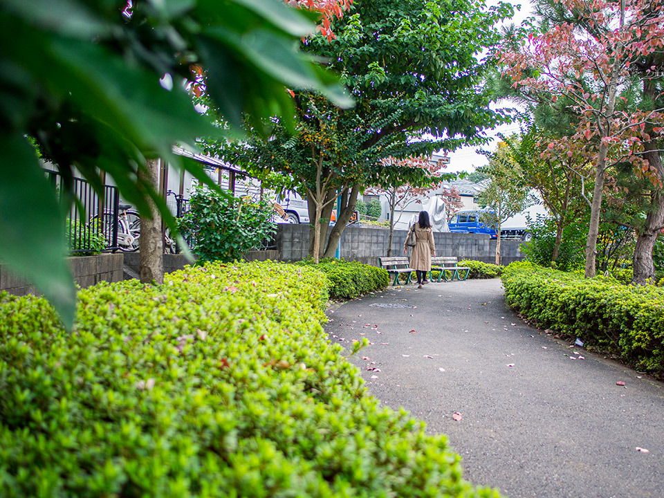 experience SUGINAMI